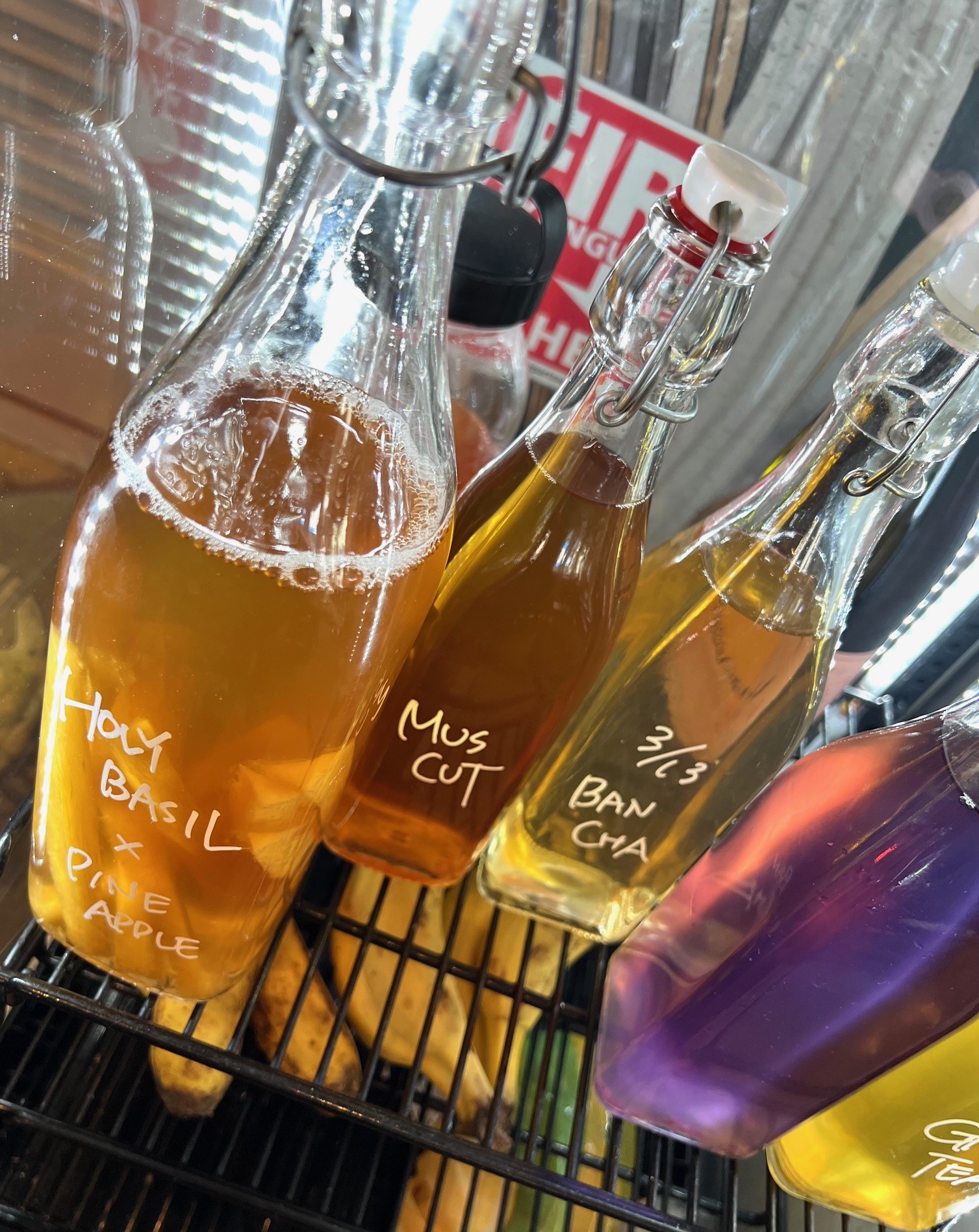 ハワイで愛される発酵飲料「コンブチャ」＆自家製ALOCHA(アロチャ） – ALOHA LIVING inc.