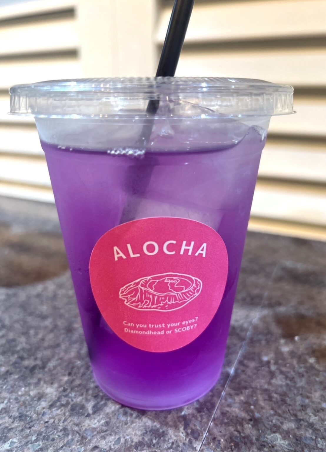 ハワイで愛される発酵飲料「コンブチャ」＆自家製ALOCHA(アロチャ） – ALOHA LIVING inc.